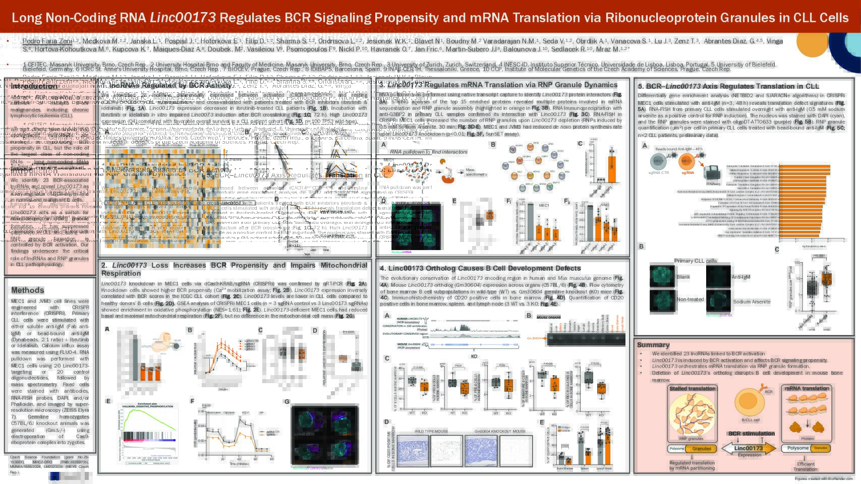 Long Non-Coding RNA LINC00173 Regulates BCR Signaling Propensity and ...