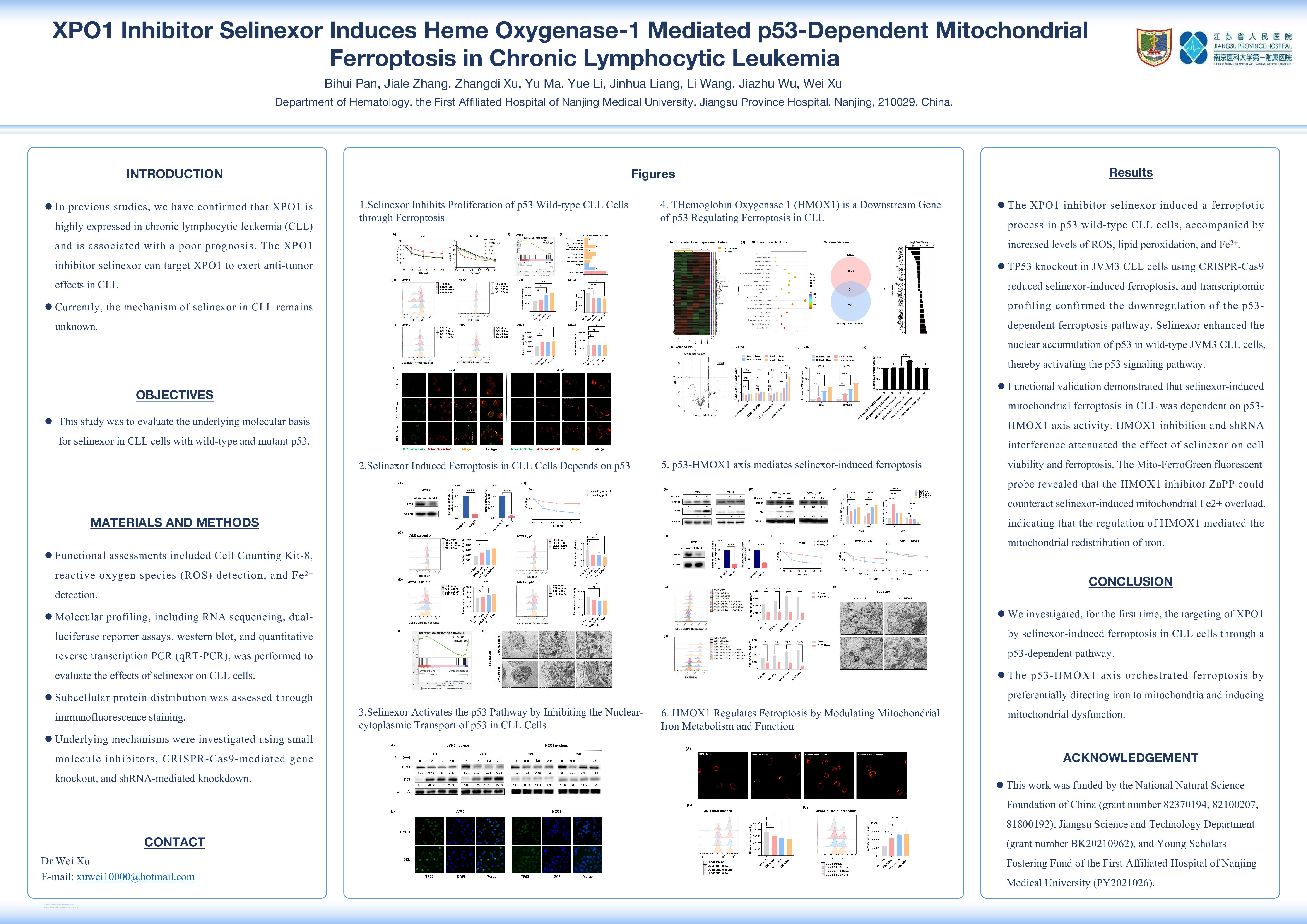 XPO1 Inhibitor Selinexor Induces Heme Oxygenase-1 Mediated p53 ...